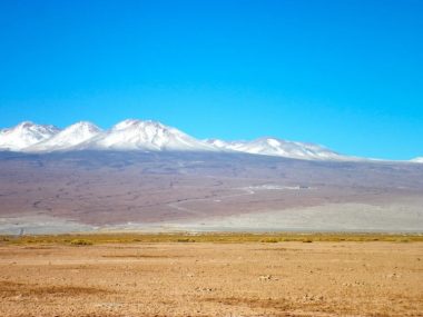 Poušť Atacama patří k nejsušším místům na planetě. Přesto zde existuje ...