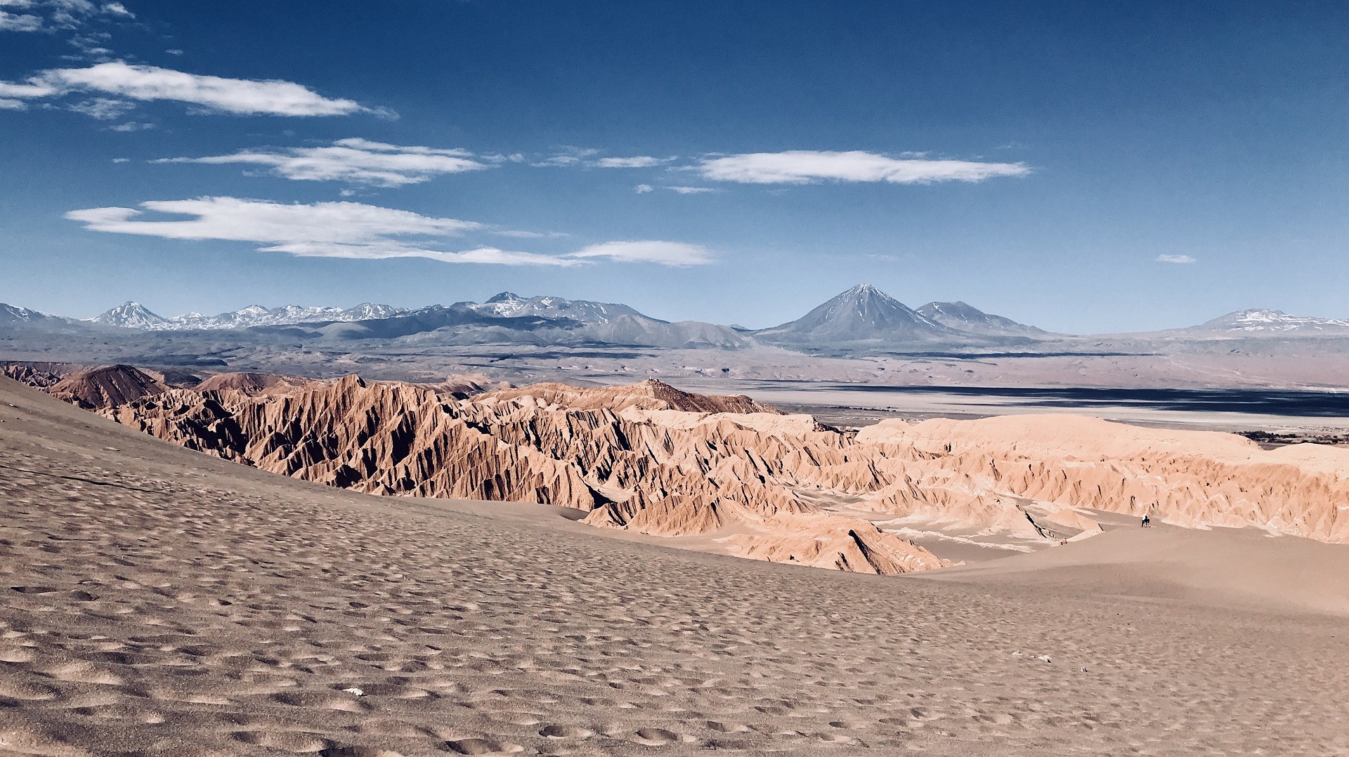 Poušť Atacama patří k nejsušším místům na planetě. Přesto zde existuje ...